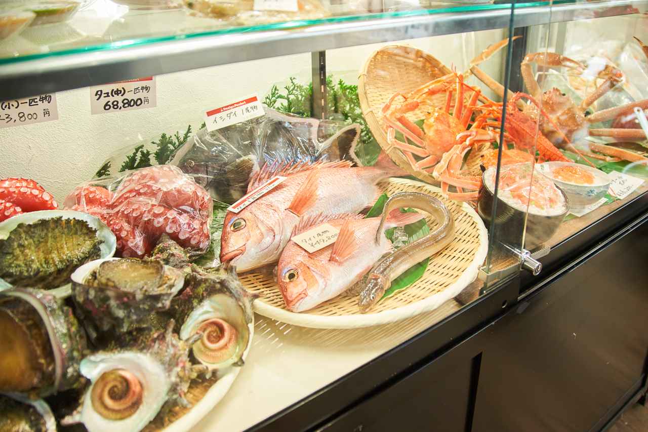 Japanese Food Samples